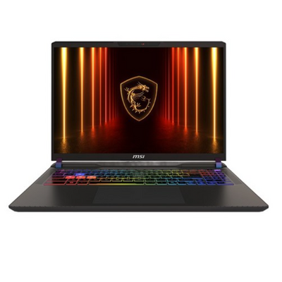 MSI 벡터 16 HX AI A2XWHG-U9 QHD+ 64GB램 [SSD 3TB] - 에누리 가격비교